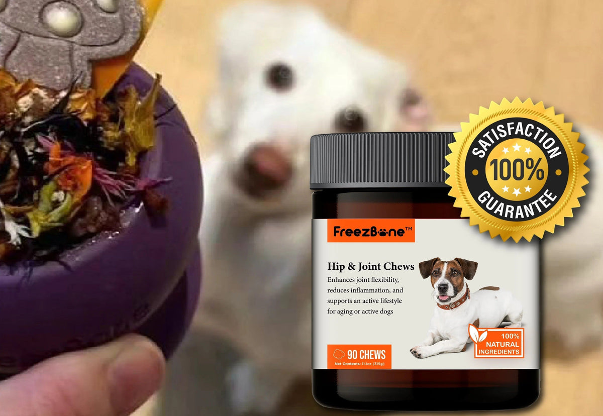 From Puppyhood to Adulthood: How Freezbone’s New Chews Support Every S