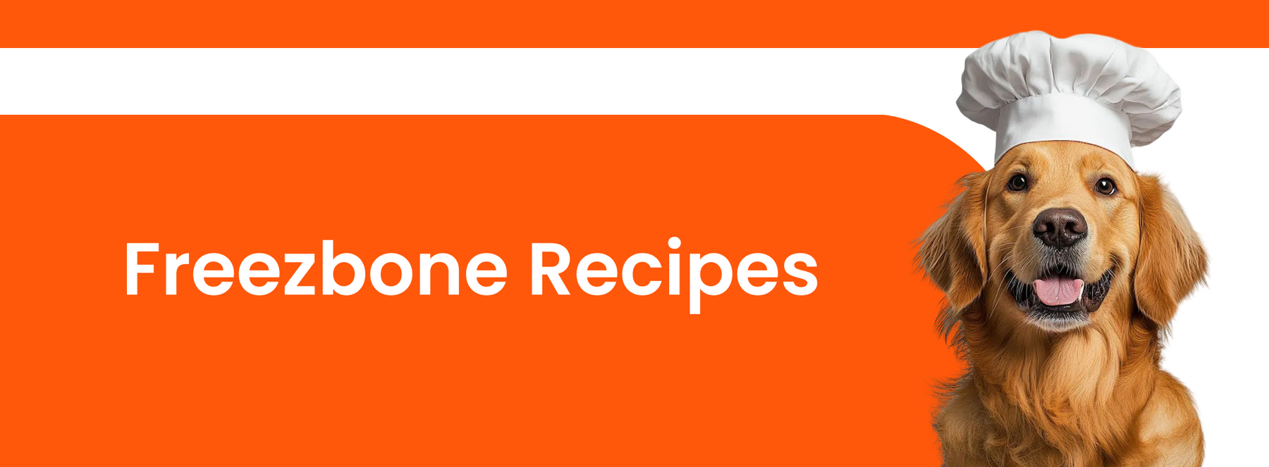 Recipes - Freezbone