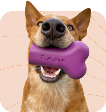 Wholesale Family - Freezbone